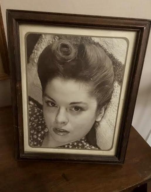 Trefology proudly presents its 600th post! (big deal!) – t r e f o l o g y